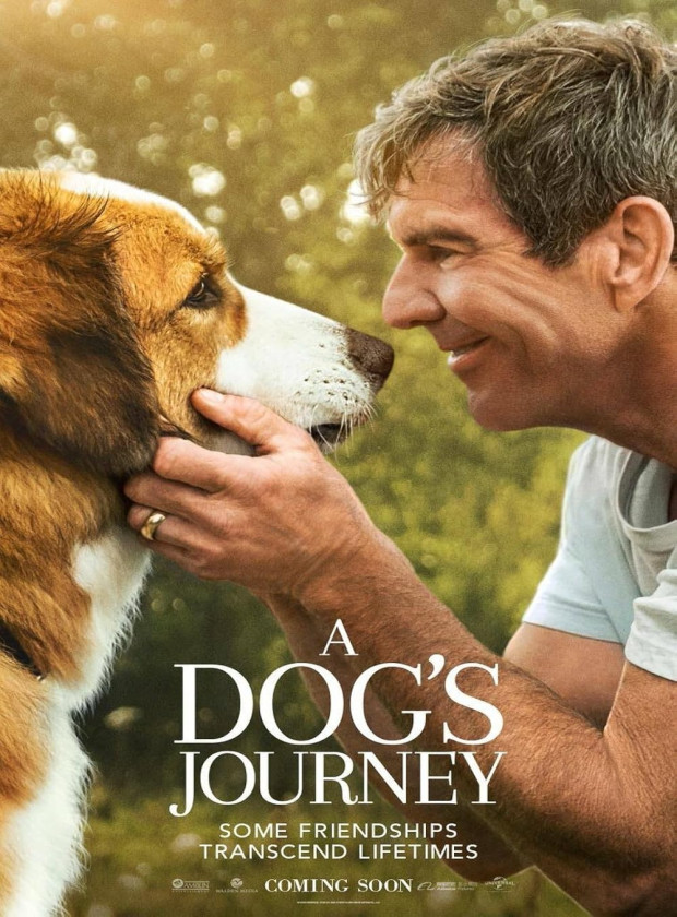 Juntos para Sempre (2019): Onde Assistir - Querofilme